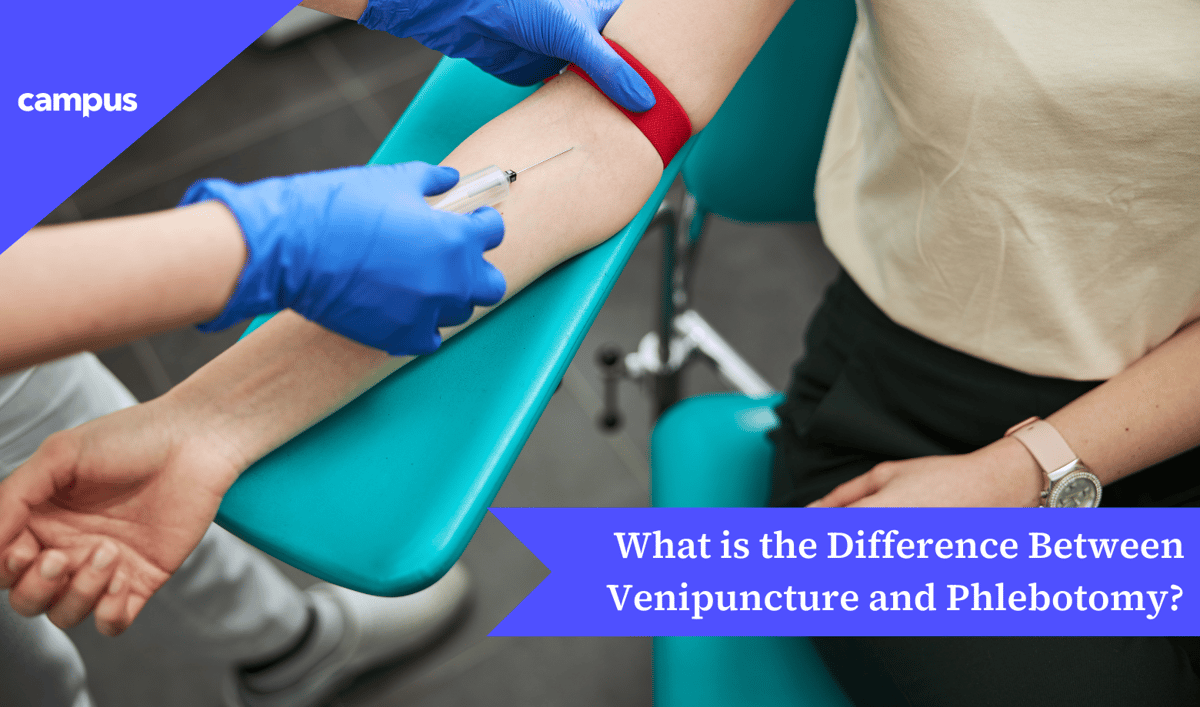 What is the Difference Between Venipuncture and Phlebotomy? | Campus.edu