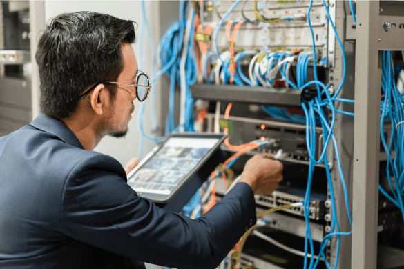 Programming Vs Networking Which It Career Path Is Right For You